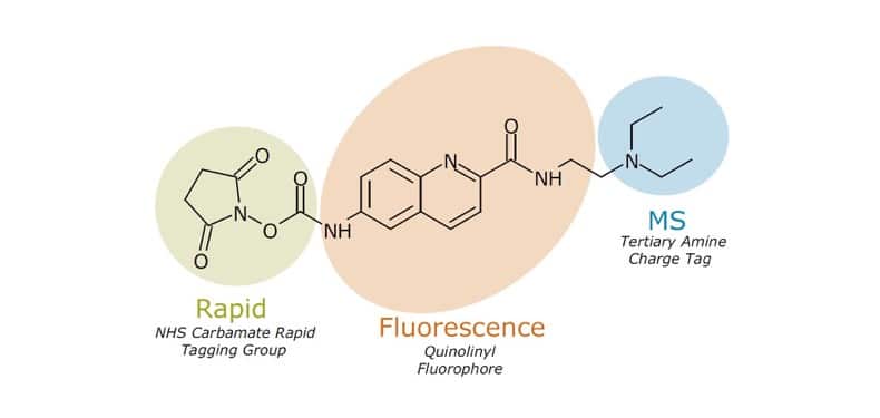 GlycoWorks® N-Glycan Sample Prep - Protocol - OneLab