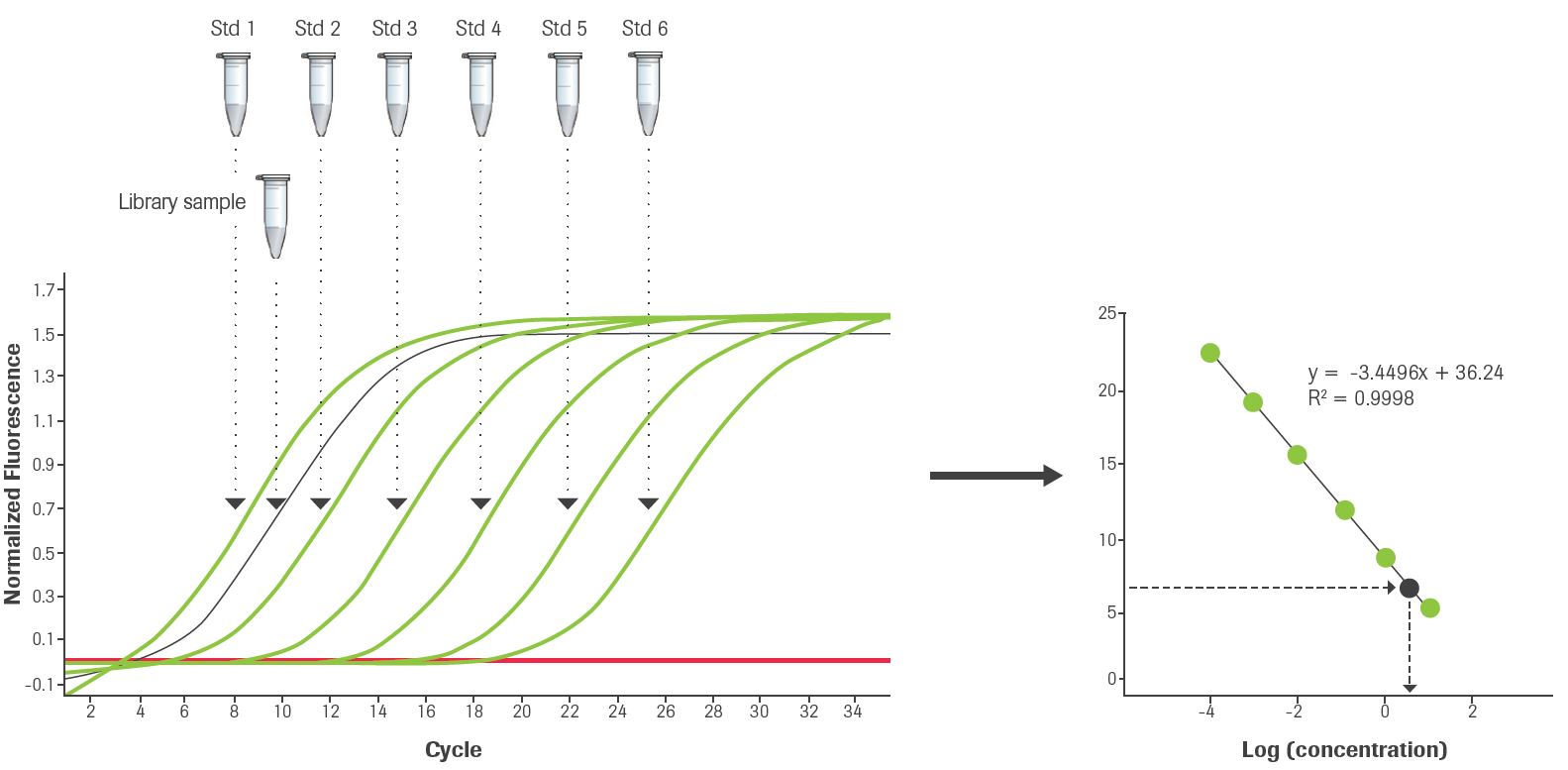 KAPA DNA Library Quantification Protocol OneLab