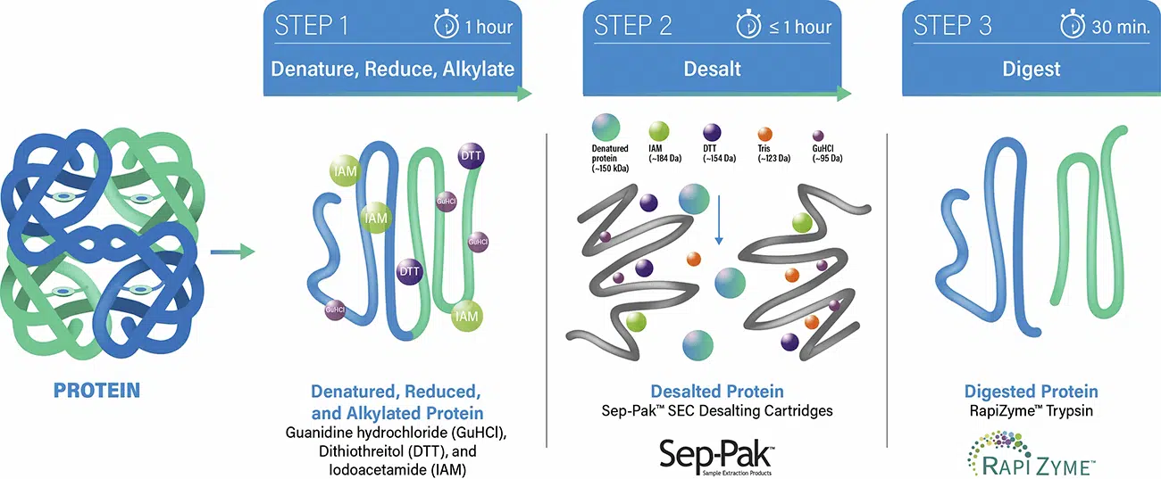 Waters Corporation Launches PeptideWorksTM Tryptic Protein Digestion ...